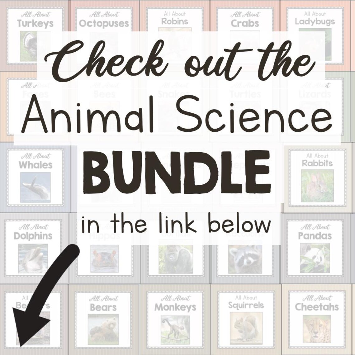 All About Turkeys- Animal Science Unit - Etsy