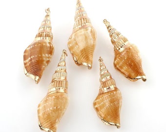 Tiger Conch Shell | Etsy