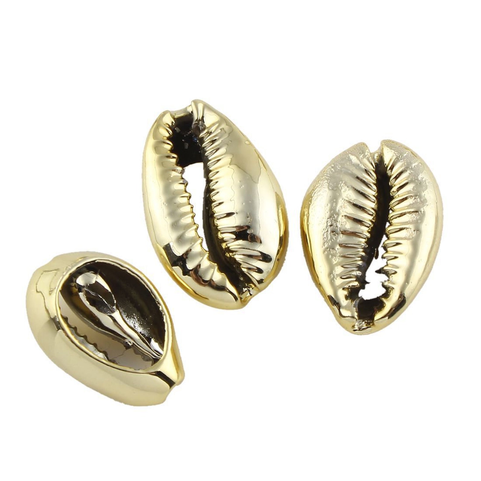 4pcs Plated Conch Open Back Shell Cowrie Cowry Cypraea - Etsy