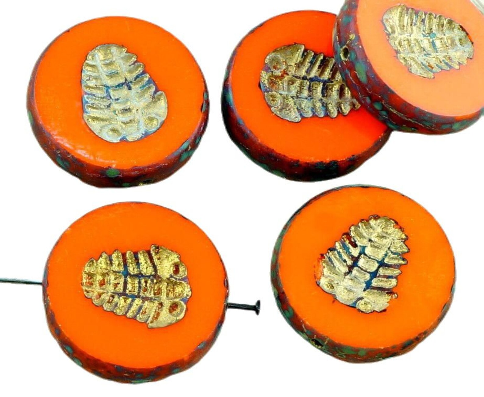 4pcs Picasso Gold Wash Flat Coin Trilobite Fossil Marine Table Cut New ...
