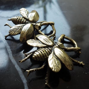 Insect Ear Weight Ear Weights Ear Gauges Tunnels Bio Organic Jewelry ...