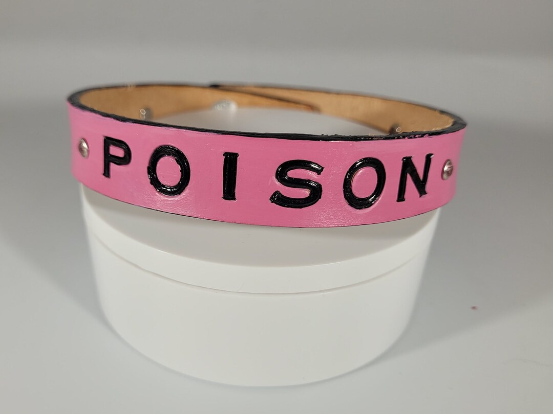 Hazbin Hotel Poison Angel Dust Adjustable Leather Collar Choker W/ Pink ...