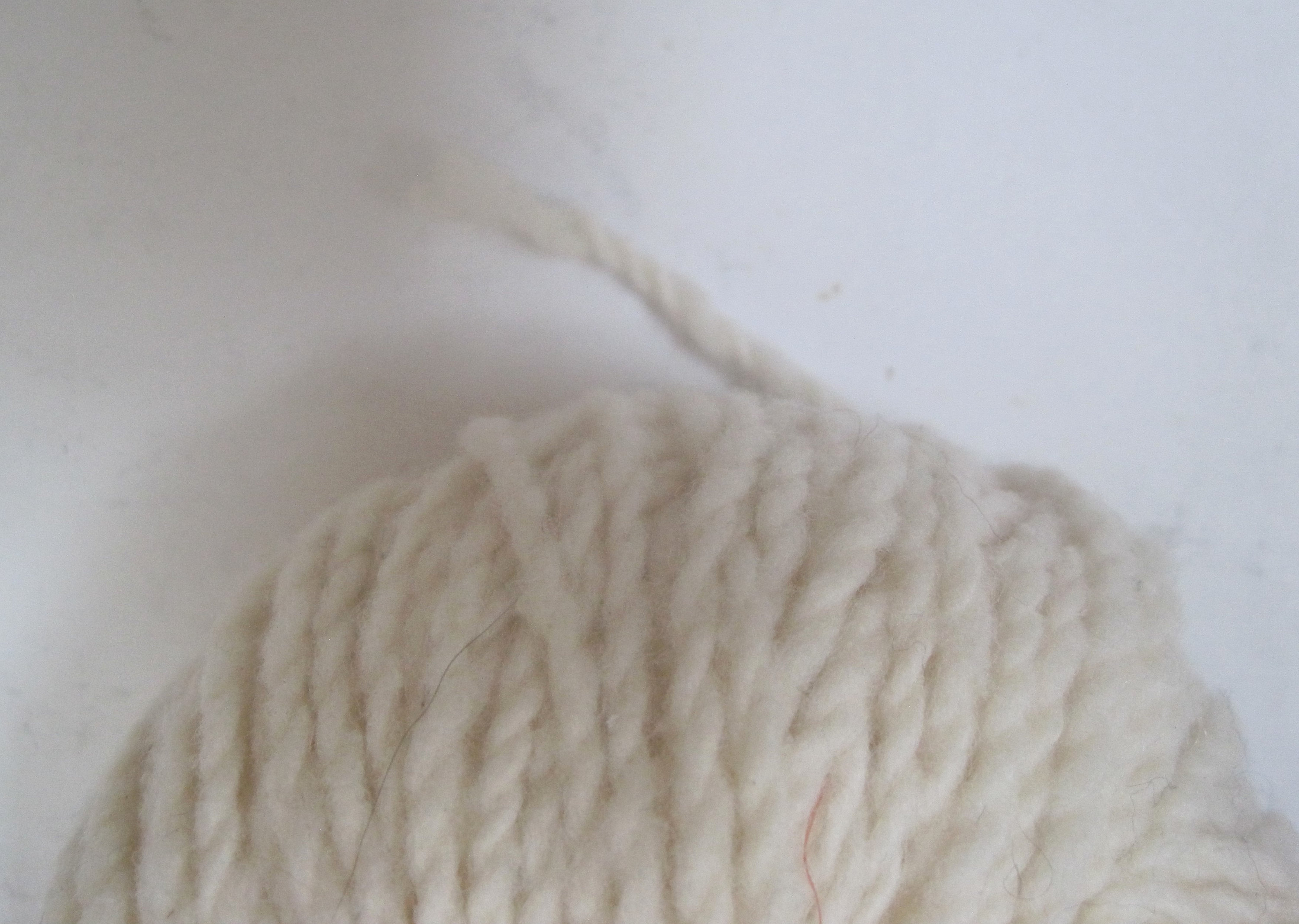 1 Skein Sweet Grass Wool Yarn, 4 Oz/230 Yd., 2 Ply Natural/cream Color ...