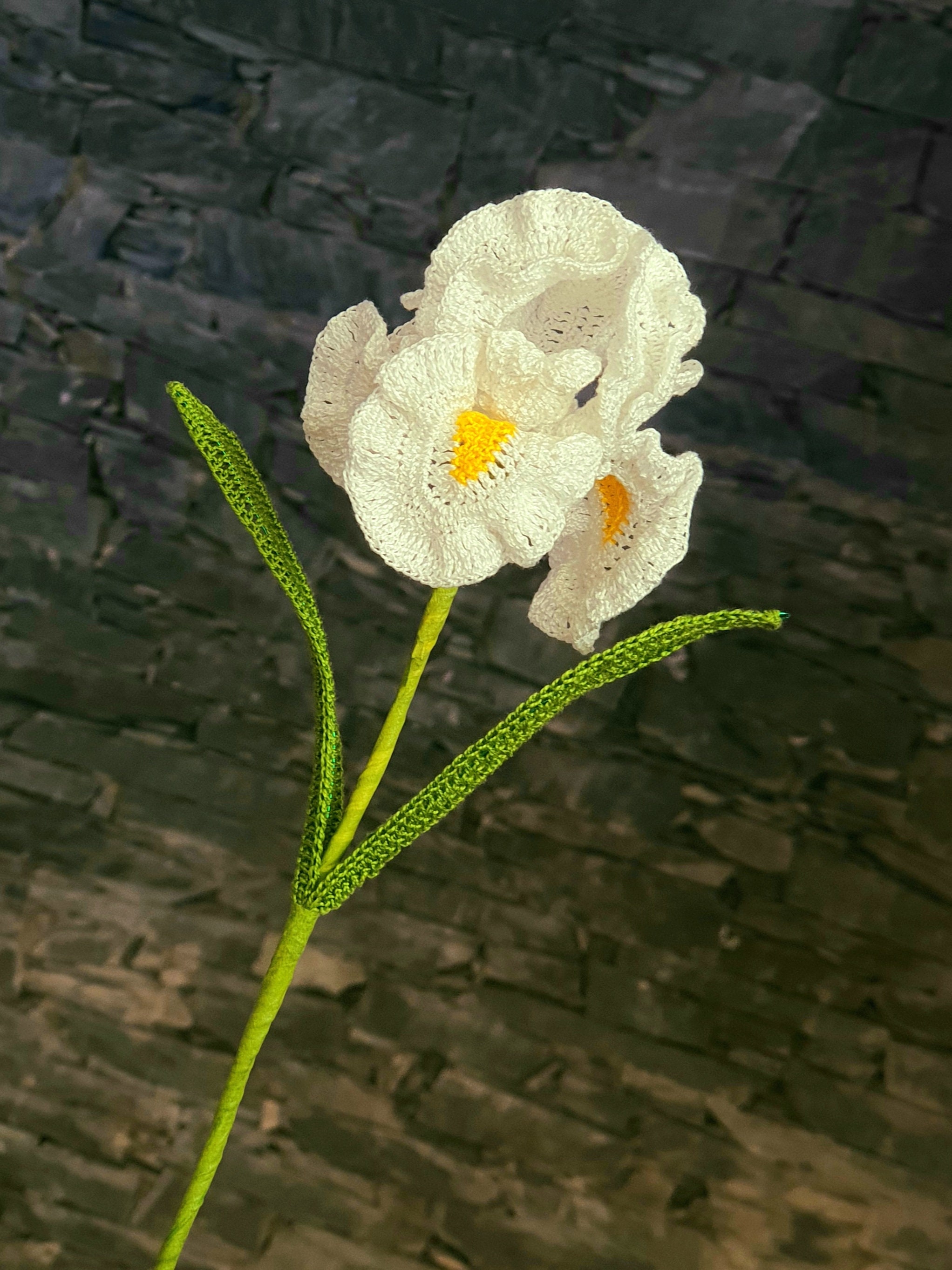 Iris Crochet Pattern Spring Flower Spring Crochet Pattern - Etsy UK