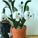 Crochet Snowdrop Flower Pattern: Realistic Floral DIY Wedding Bridal ...