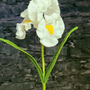 Crochet Iris Flower Pattern: Long Stem Spring Decor (PDF Pattern) - Etsy