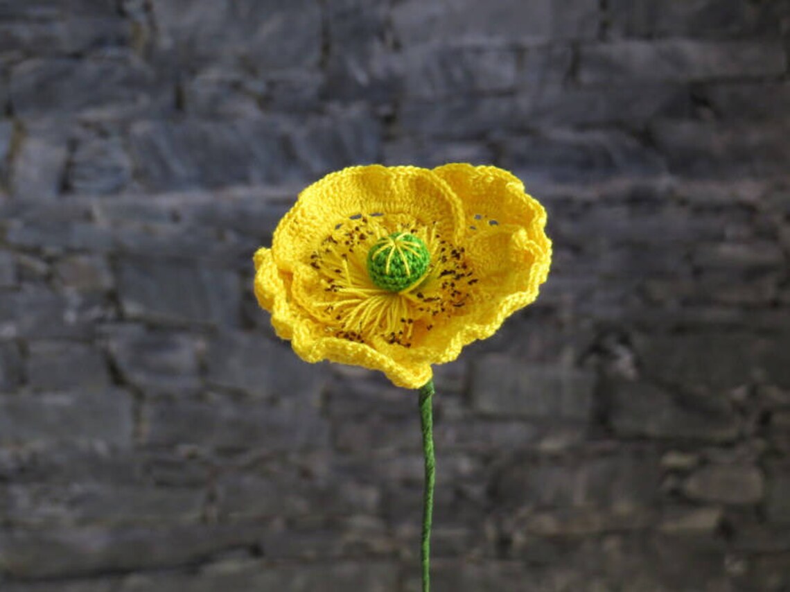 Crochet Poppy Pattern: Flanders & Icelandic Flower Remembrance (PDF ...