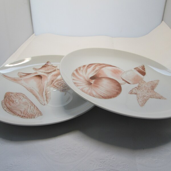 Seashell Plates - Etsy