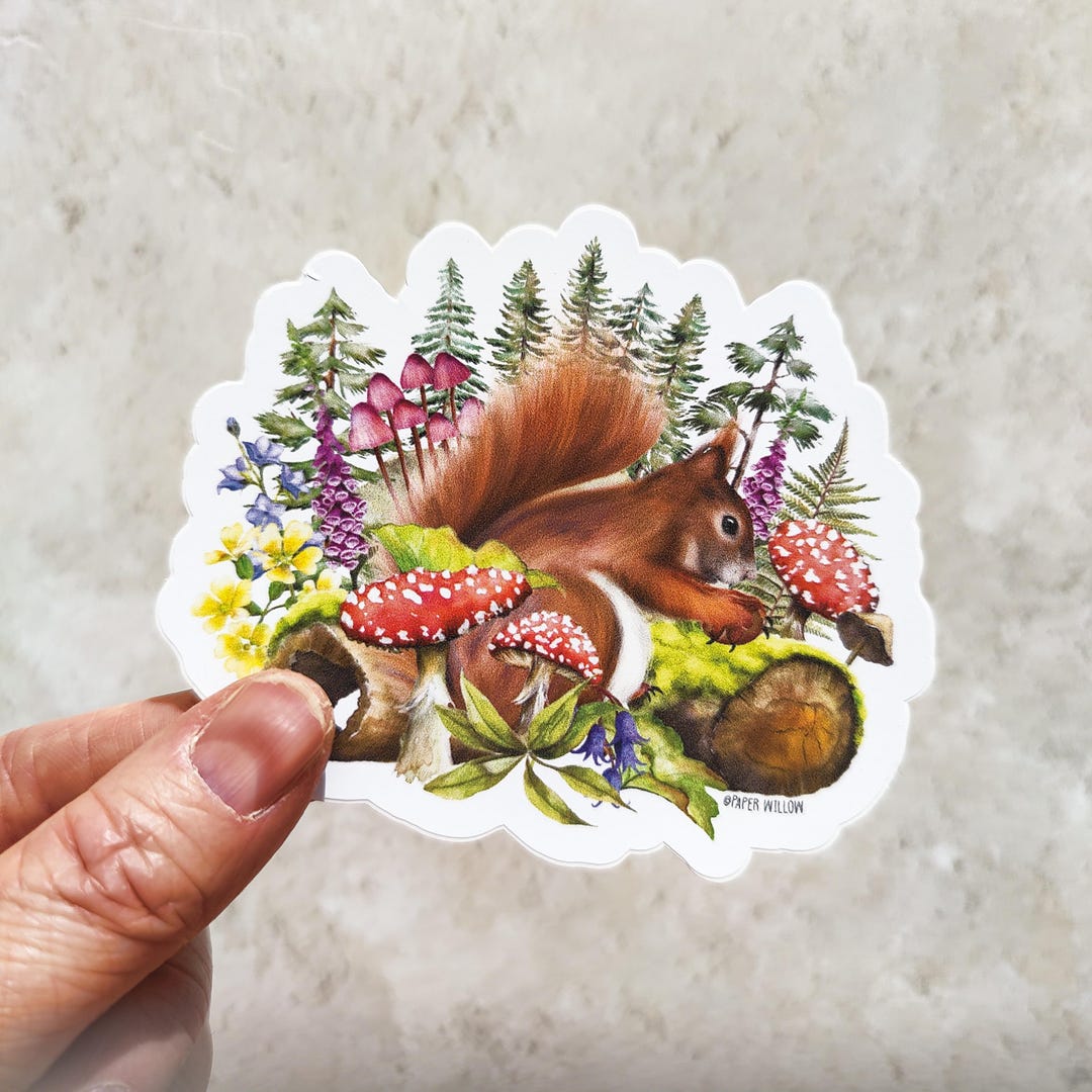 Squirrel Vinyl Sticker 10cm X 8cm Die Cut Waterproof Sticker - Etsy