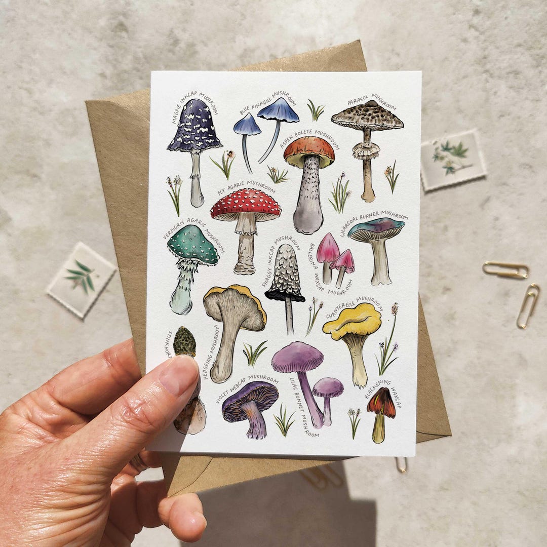 Colourful Mushrooms and Toadstools Cards and Envelopes - Etsy