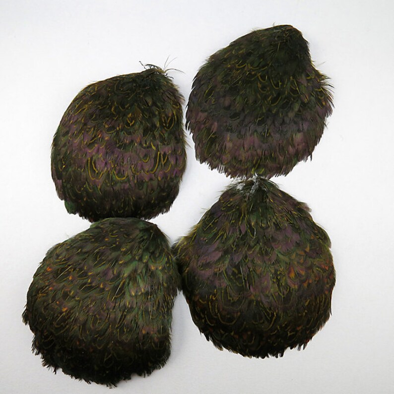 Vintage Feathers Craft Supplies 4 Hat Making Feathers Old Sewing ...