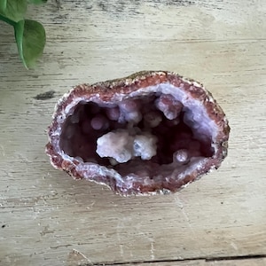 Red Moroccan Chalcedony Specimen 1.5 Inch Raw Chalcedony Stalactite ...