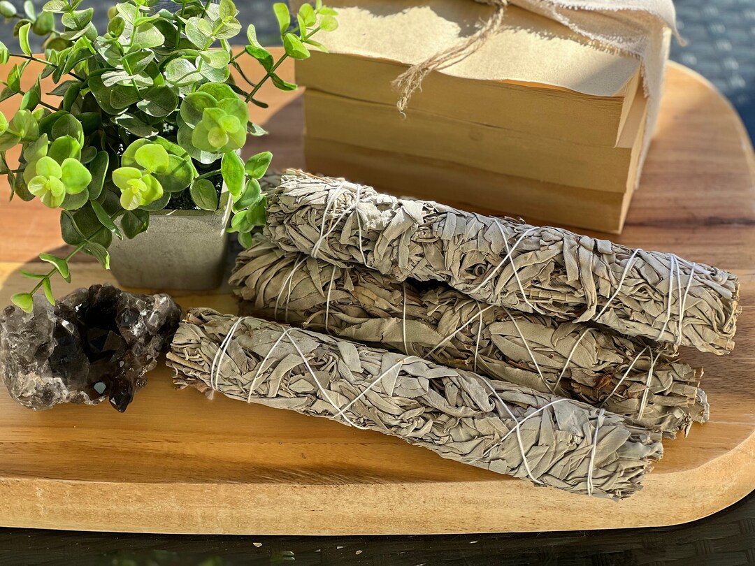 Xl Jumbo Organic White Sage Stick Locally Farmed 12 Inch Smudge Stick ...