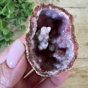 Red Moroccan Chalcedony Specimen 1.5 Inch Raw Chalcedony Stalactite ...