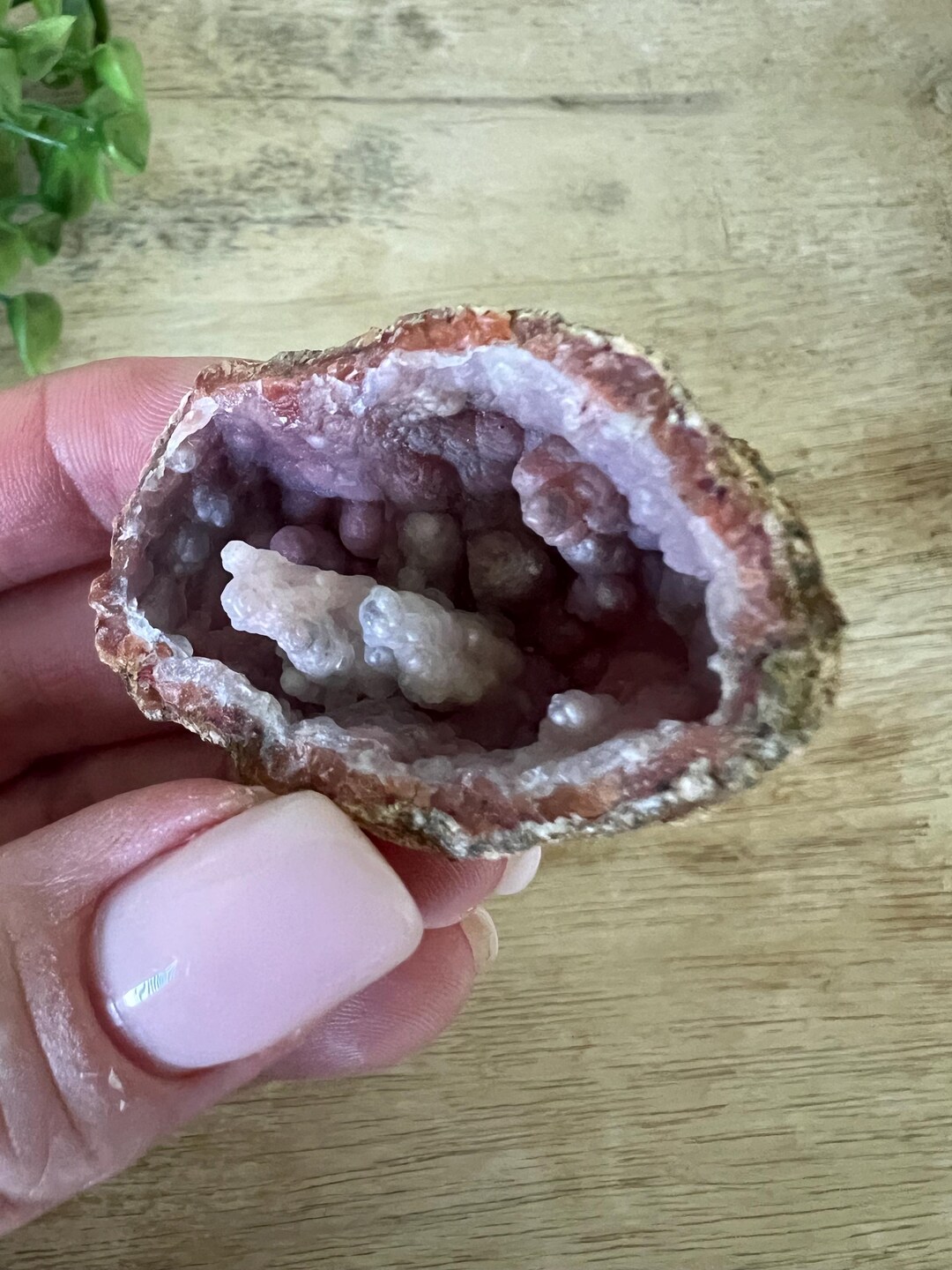 Red Moroccan Chalcedony Specimen | 1.5 Inch | Raw Chalcedony Stalactite ...