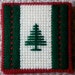 Plastic Canvas Pattern: Graph 'N Go -- "evergreen" Notepad Holder ...