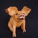 When Pigs Fly, Hand Sculpted Stoneware Clay Pig With Wings, Winged Pig ...