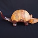 Unique Ceramic Armadillo, Original Animal Art, Southwest Decor, South ...