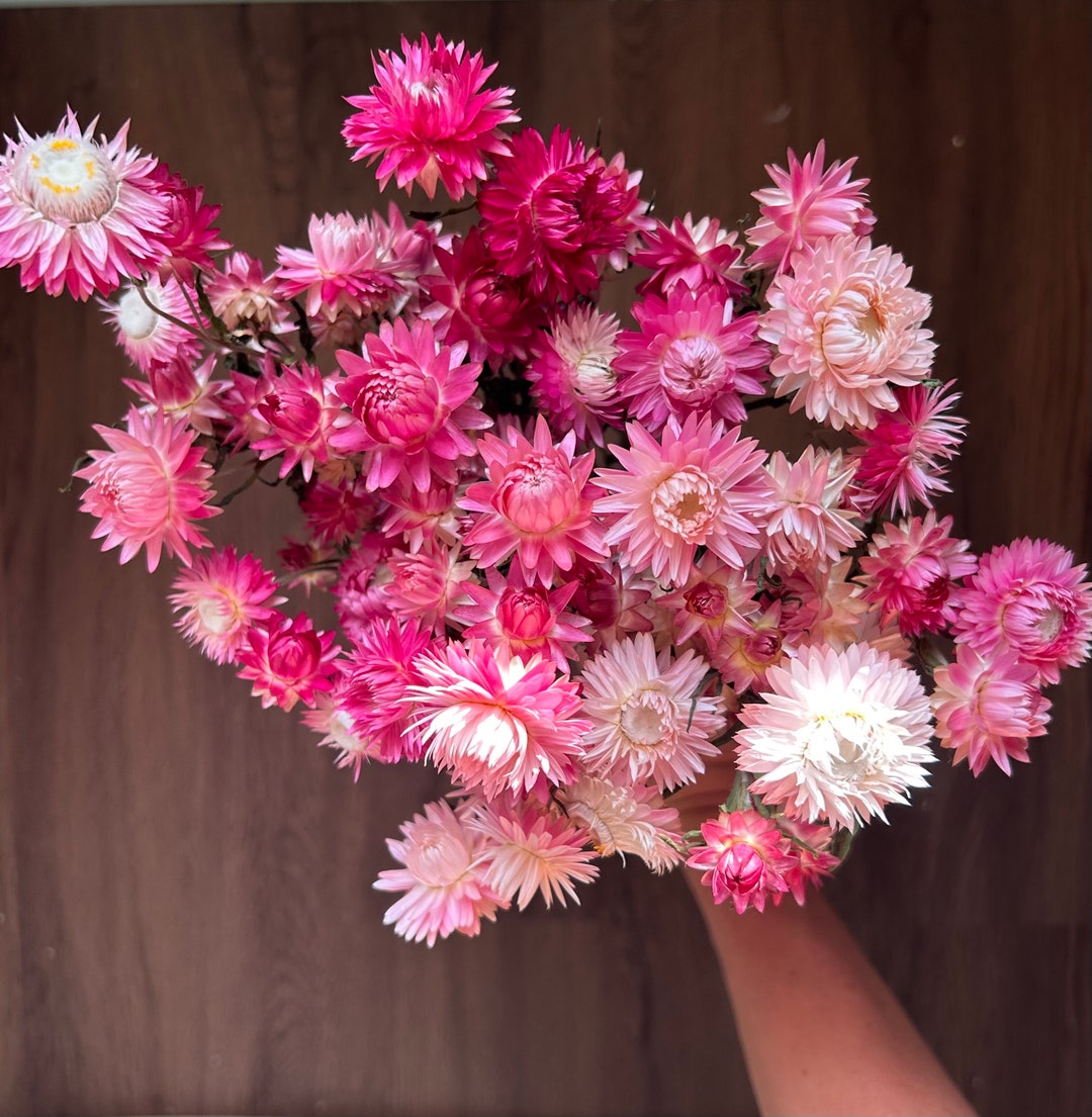 Dried Strawflower Bouquet | DIY Dried Strawflower Wreath | DIY Weddings ...