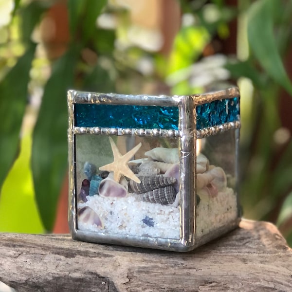 Turquoise Seashell - Etsy