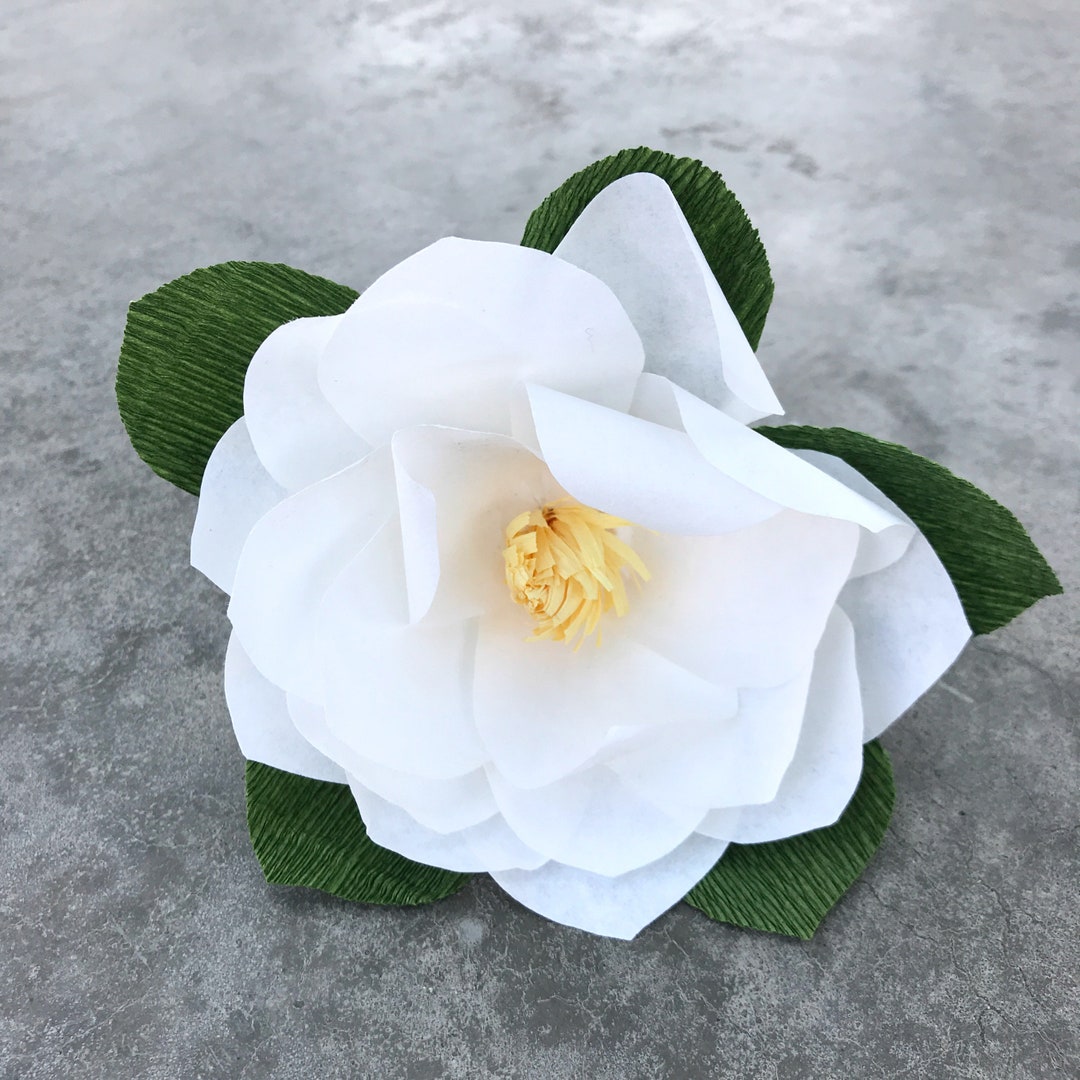 Magnolia - Filter Paper Magnolia - Etsy