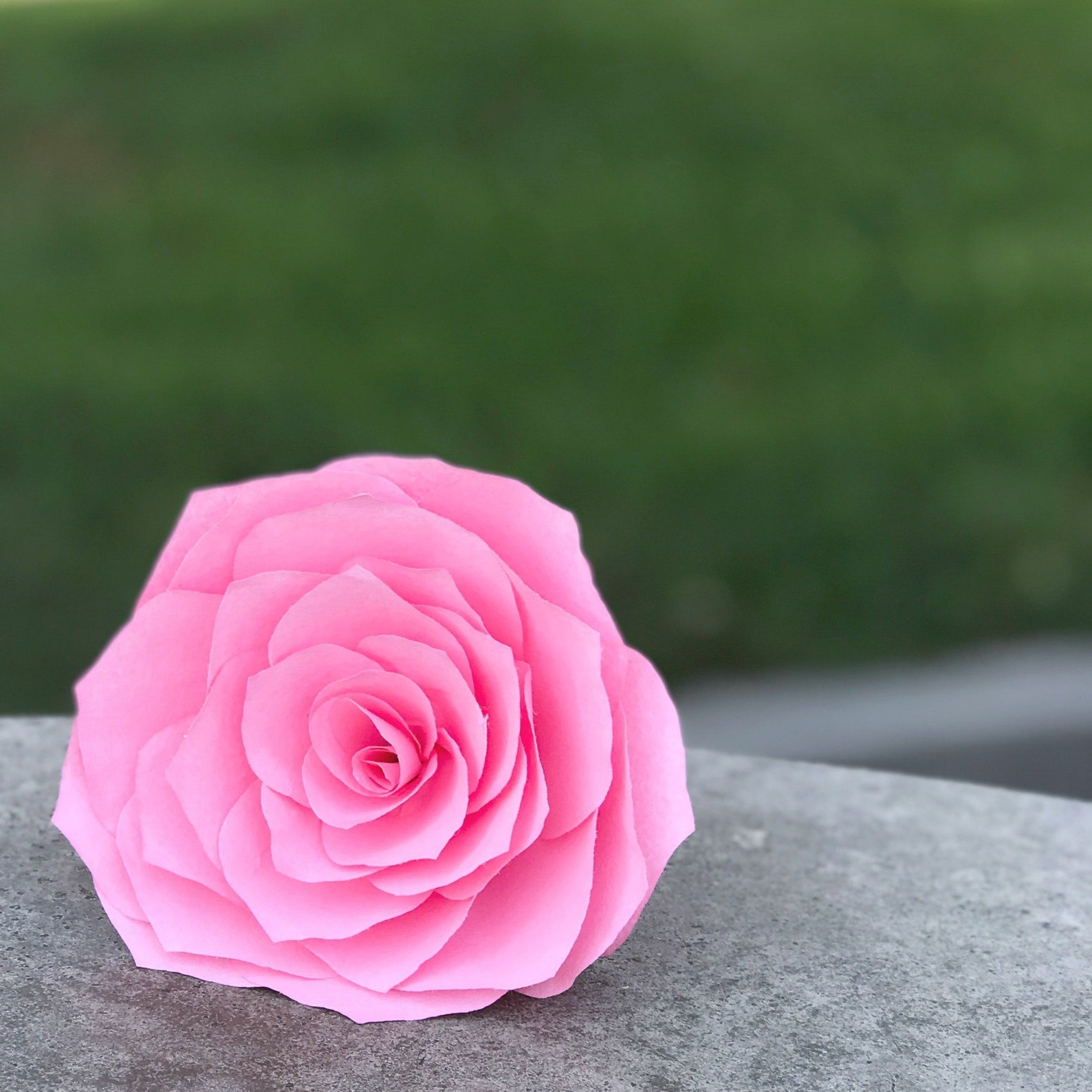 Lotus Flowers Paper Lotus - Etsy