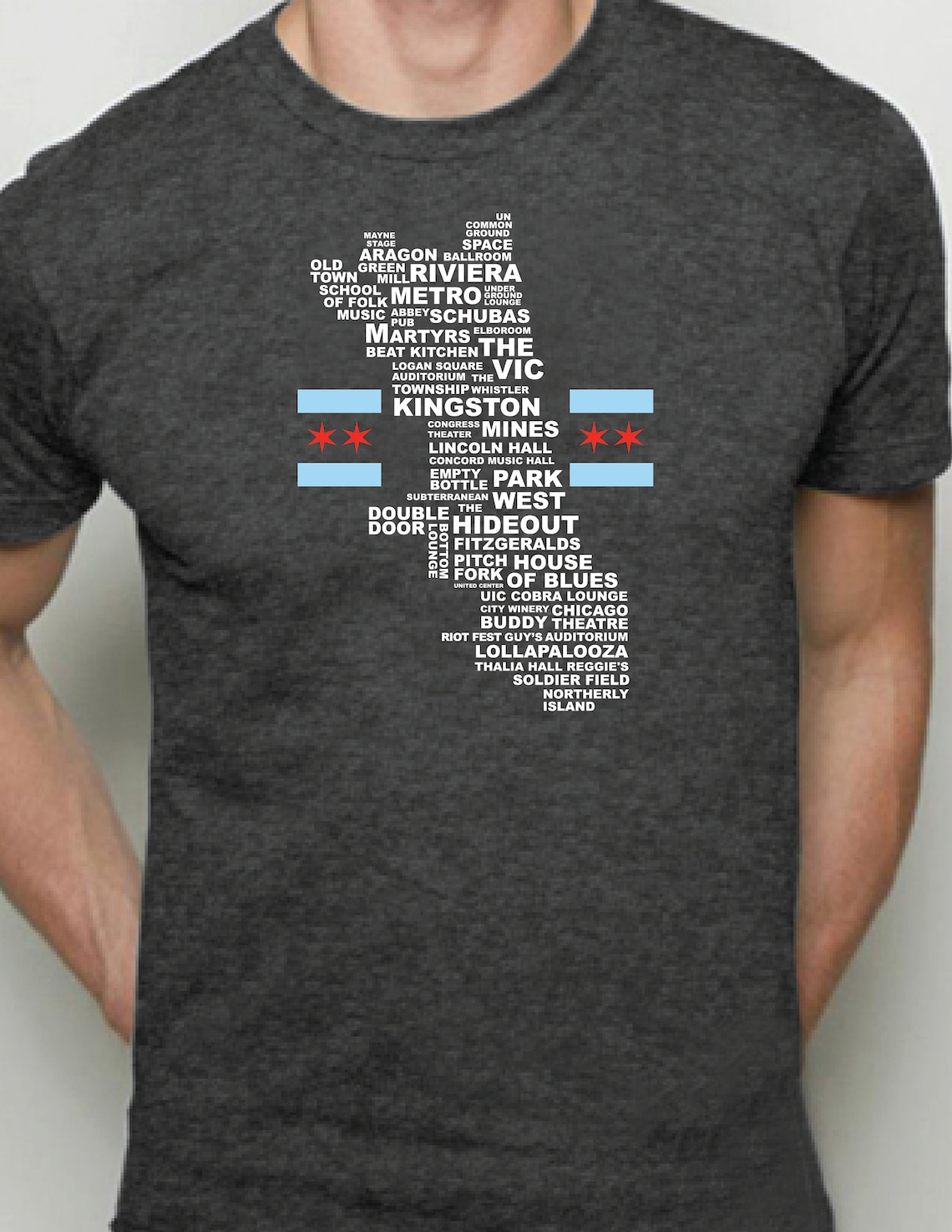 Chicago Music Venues T-Shirt Gifts for Music Lovers Gifts | Etsy