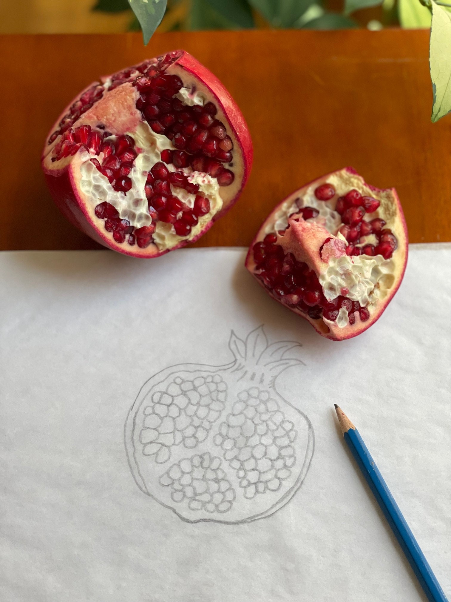Pomegranate Tote Bag, Pomegranate Print, Botanical Print, Nature Lover ...