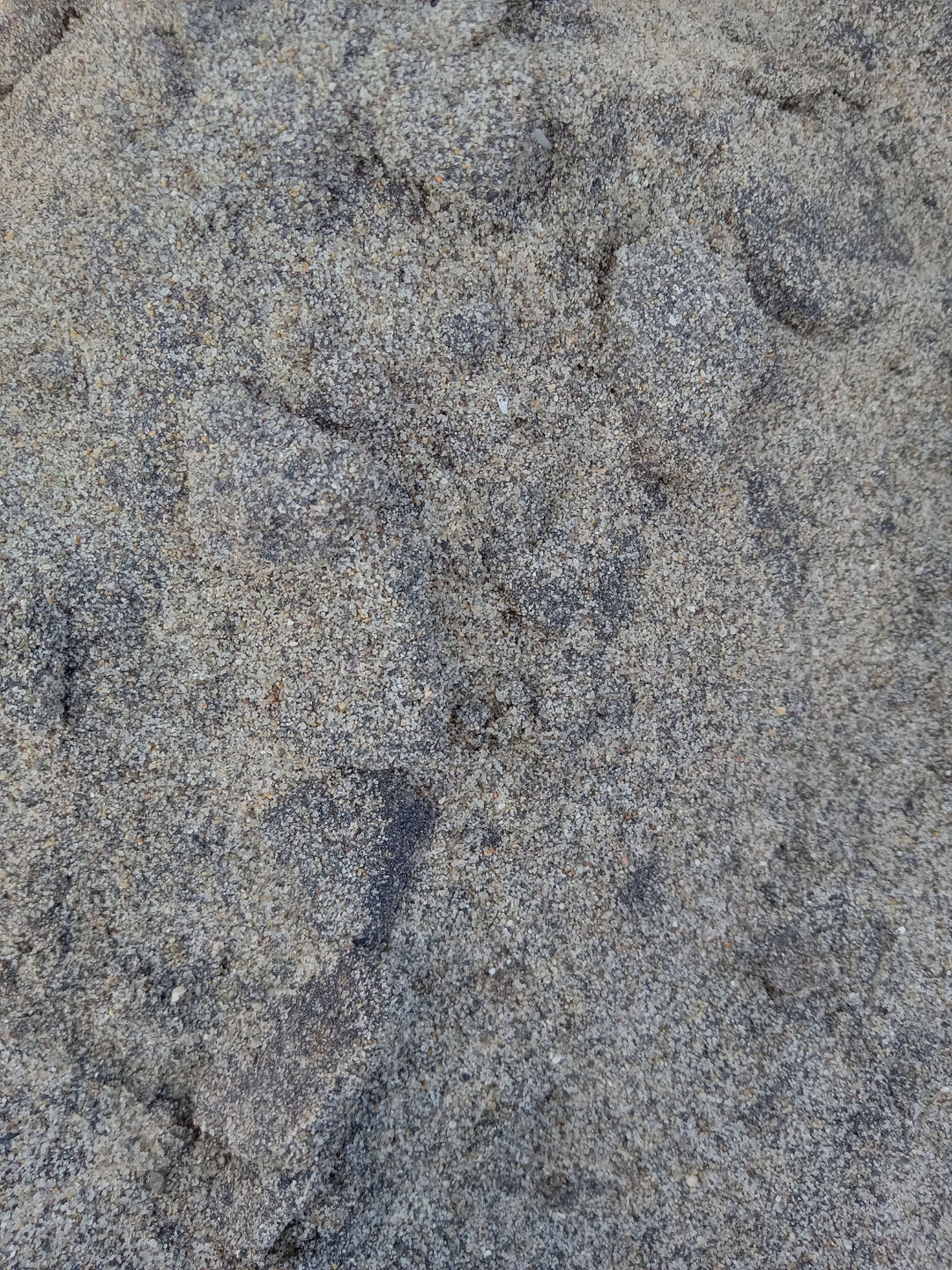 Premium Quality "black" Sand Silver & Gold Paydirt Ocean Deposit ...