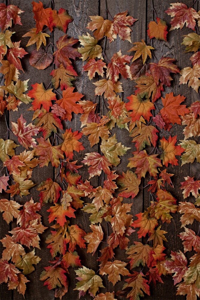 Fall Leaves Photo Backdrop - Etsy