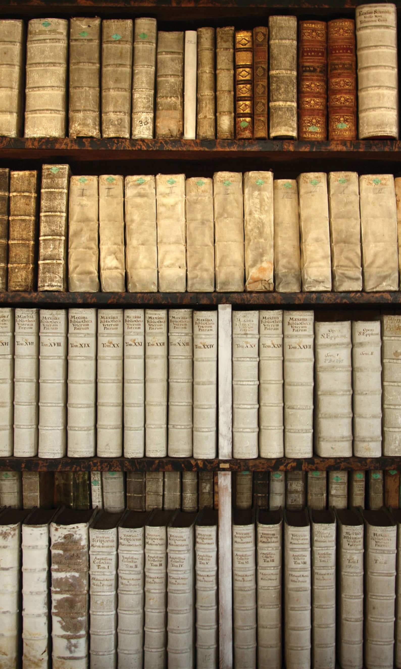 Old Books Photo Backdrop - Etsy