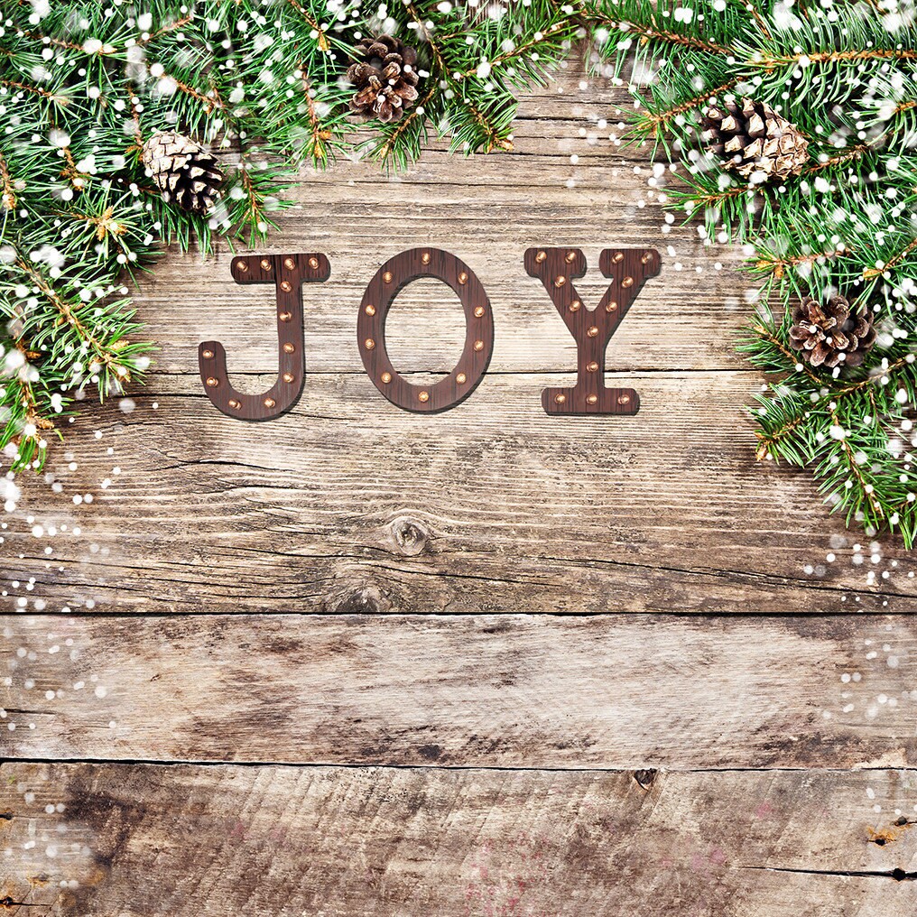 Joy Planks Photo Backdrop // Polypaper Photography Backdrop // - Etsy