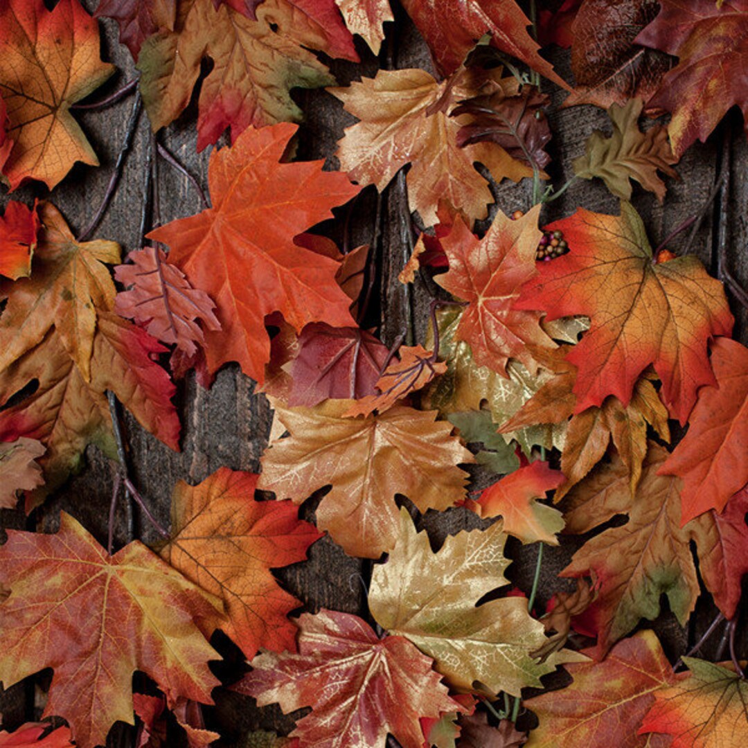 Fall Leaves Photo Backdrop - Etsy