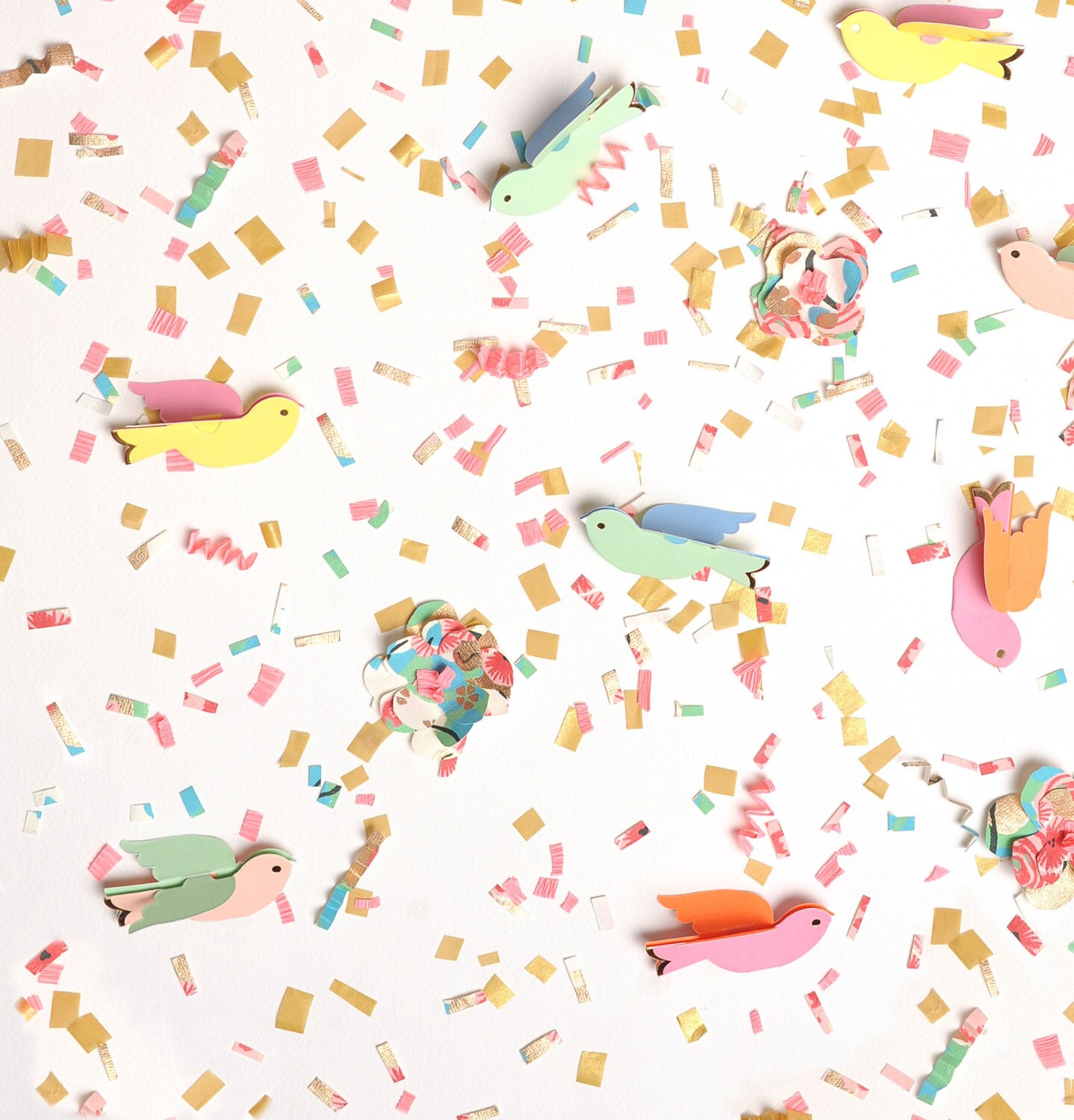 Bird Party Photo Backdrop - Etsy