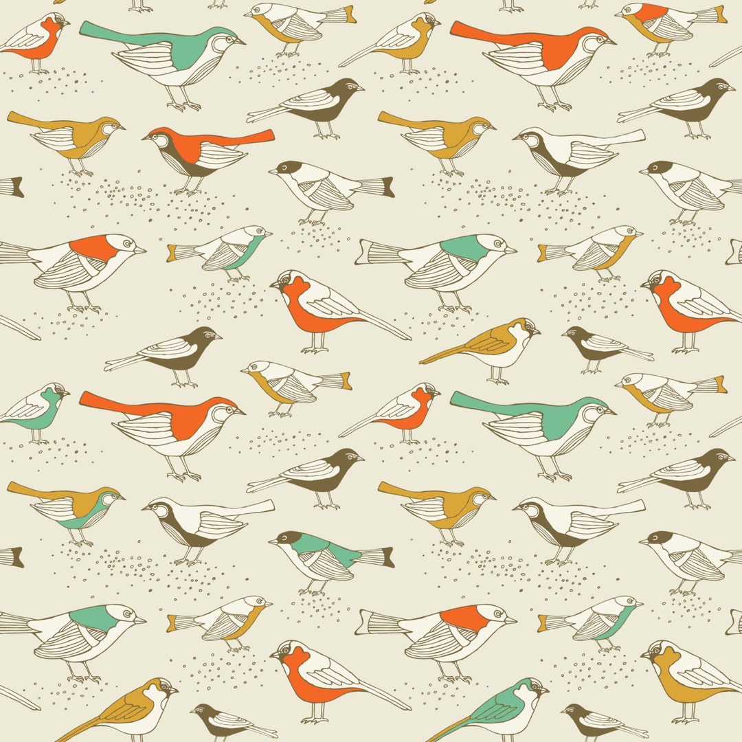 Vintage Birds Photo Backdrop - Etsy