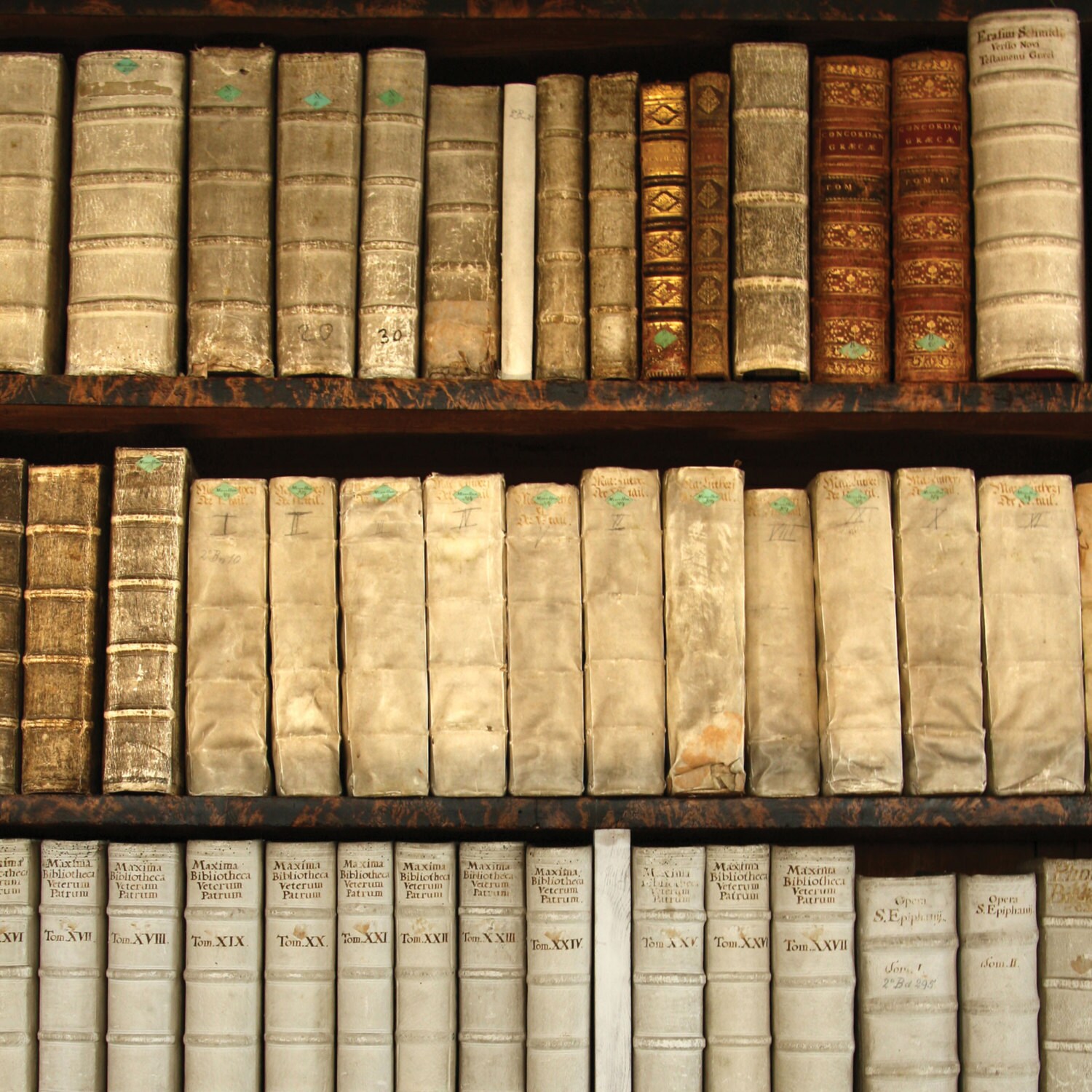 Old Books Photo Backdrop - Etsy