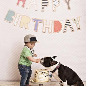 Birthday Griff Photo Backdrop // Polypaper Photography Backdrop ...