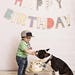 Birthday Griff Photo Backdrop // Polypaper Photography - Etsy