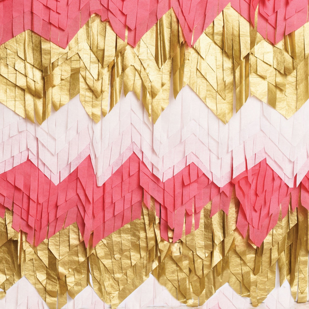 Fringed Party Photo Backdrop - Etsy