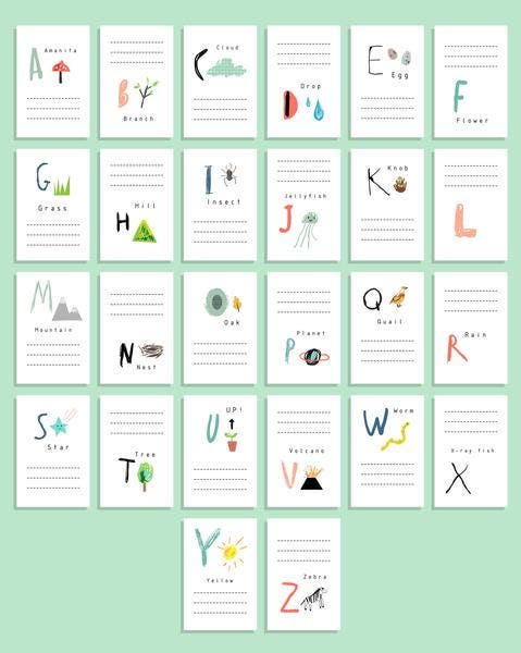Alphabet Cards Photo Backdrop // Polypaper Photography Backdrop ...