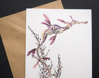 Pressed seaweed | Etsy