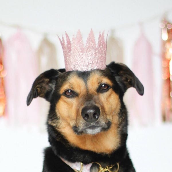 Cat Crown - Etsy