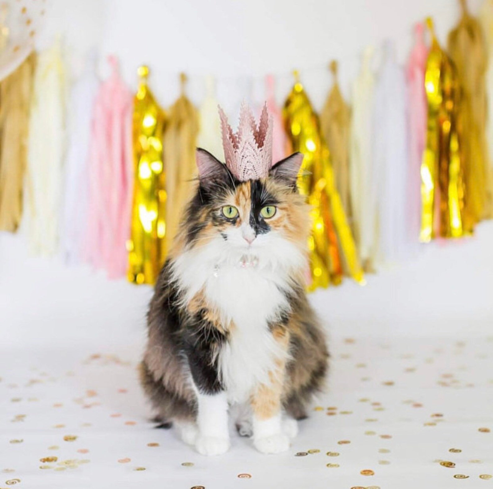 Pink Crown for Pets Dog Crown Pet Crown Cat Crown Mini - Etsy