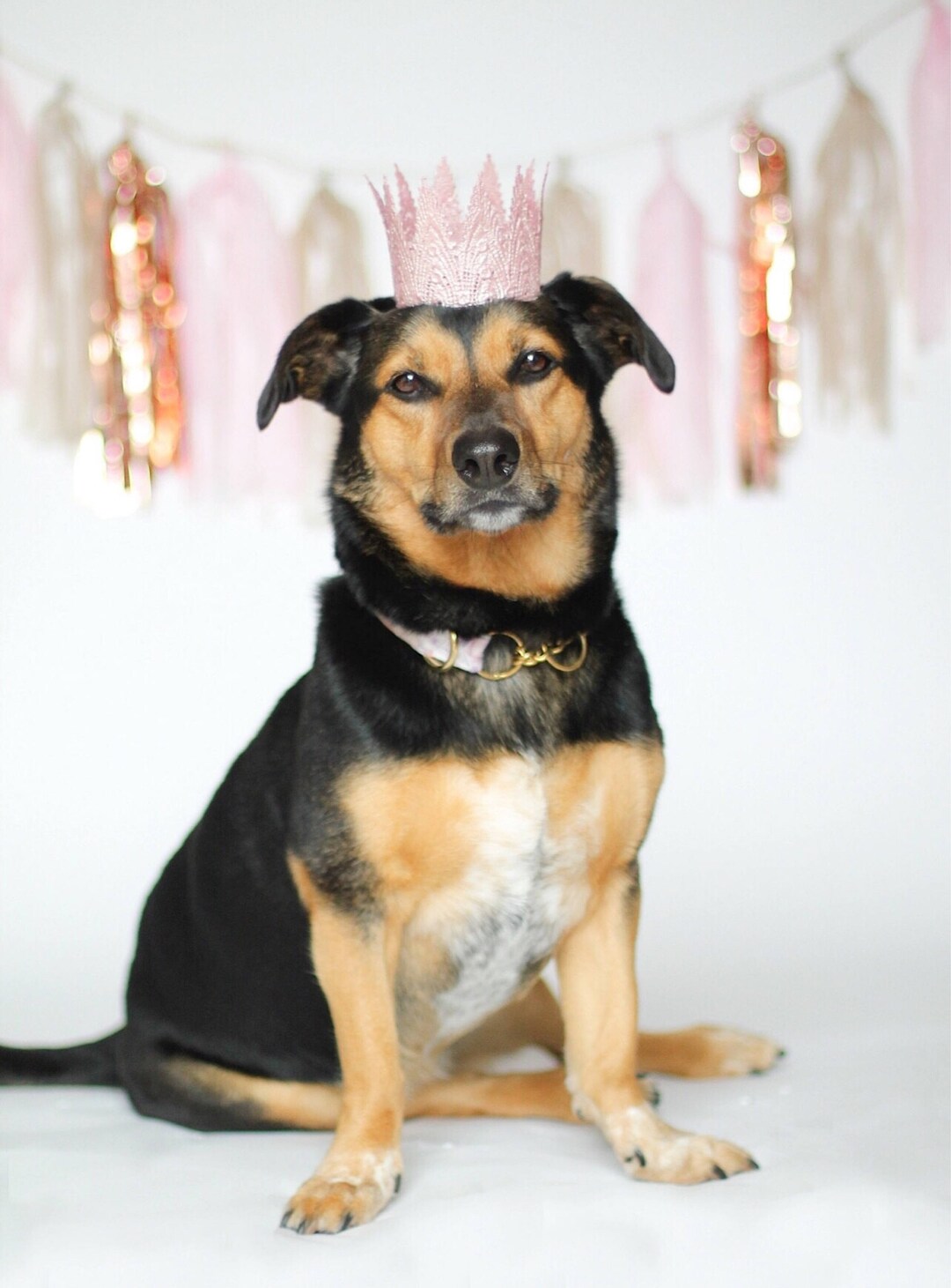 Pink Crown for Pets Dog Crown Pet Crown Cat Crown Mini Aspen Lace Smash ...