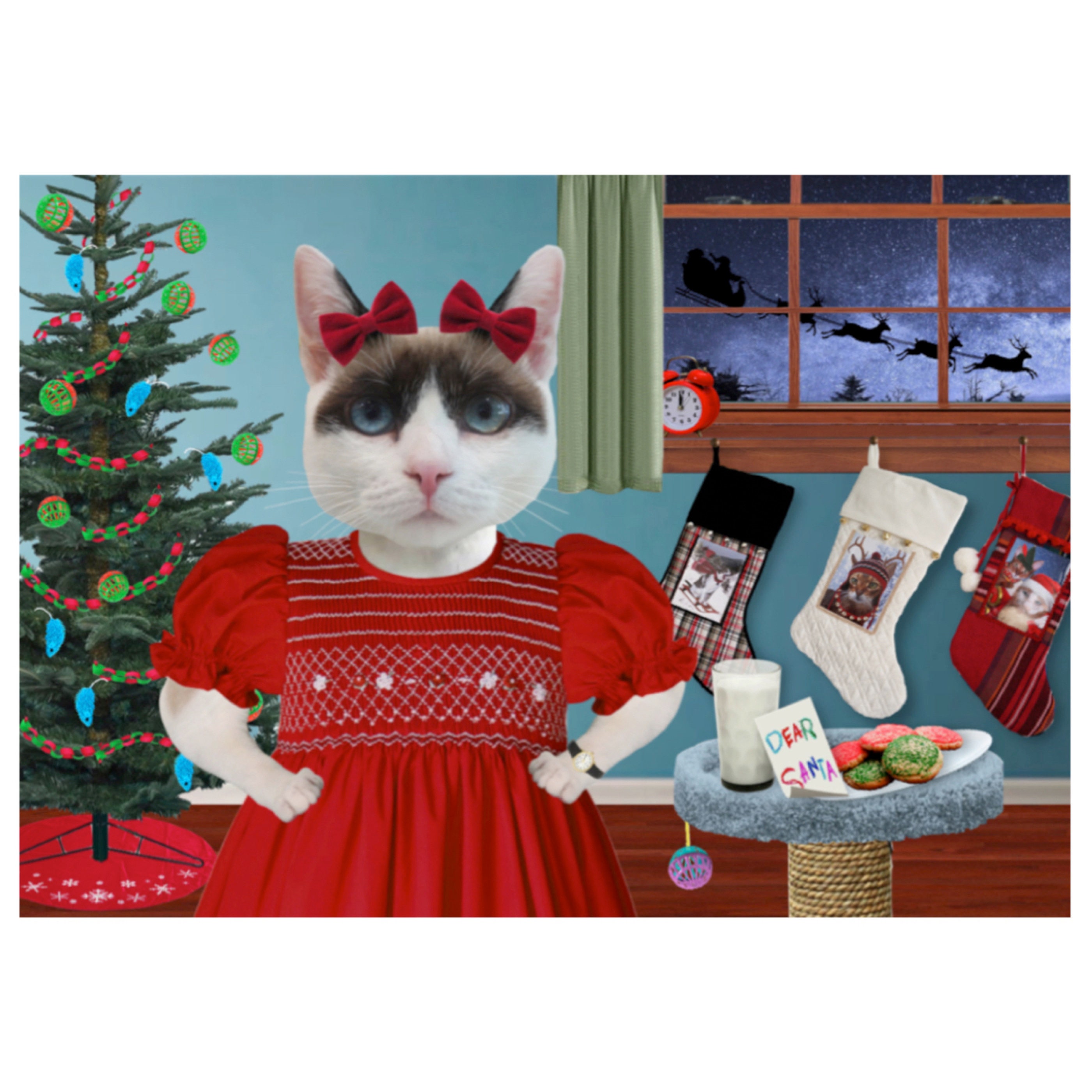 Christmas Cat Photo Card: Waiting for Santa - Etsy