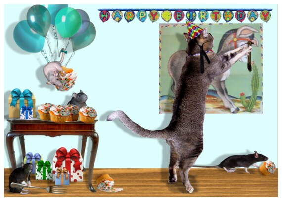 Cat Photo Card: Party Crashers | Etsy