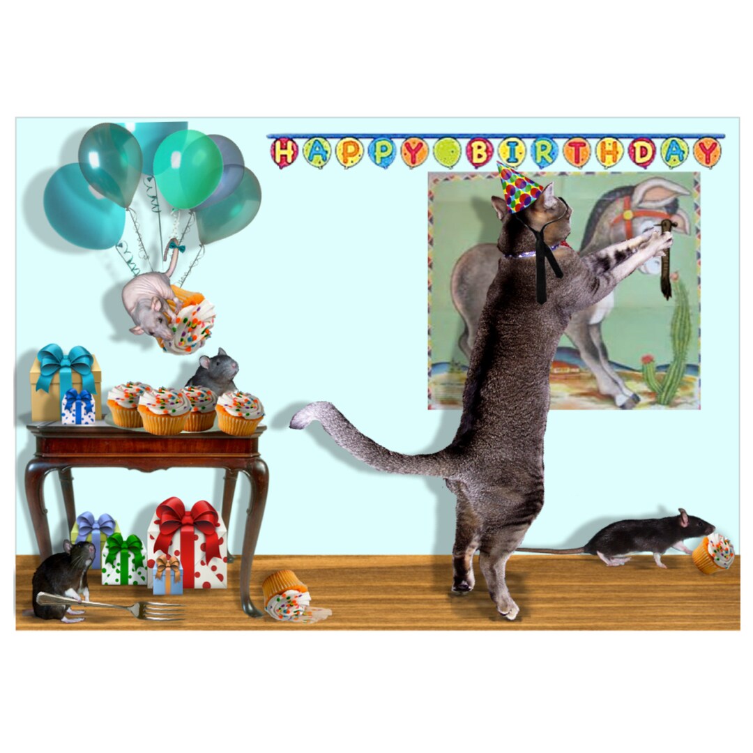 Cat Photo Card: Party Crashers - Etsy