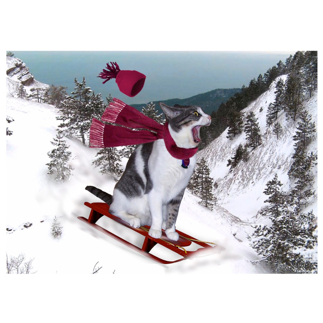Christmas Cat Photo Card: WHEEEE - Etsy