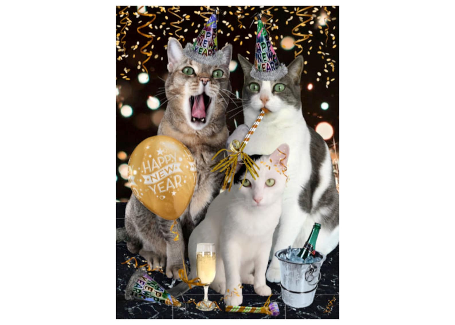 New Year Cat Photo Card: Happy New Year! - Etsy