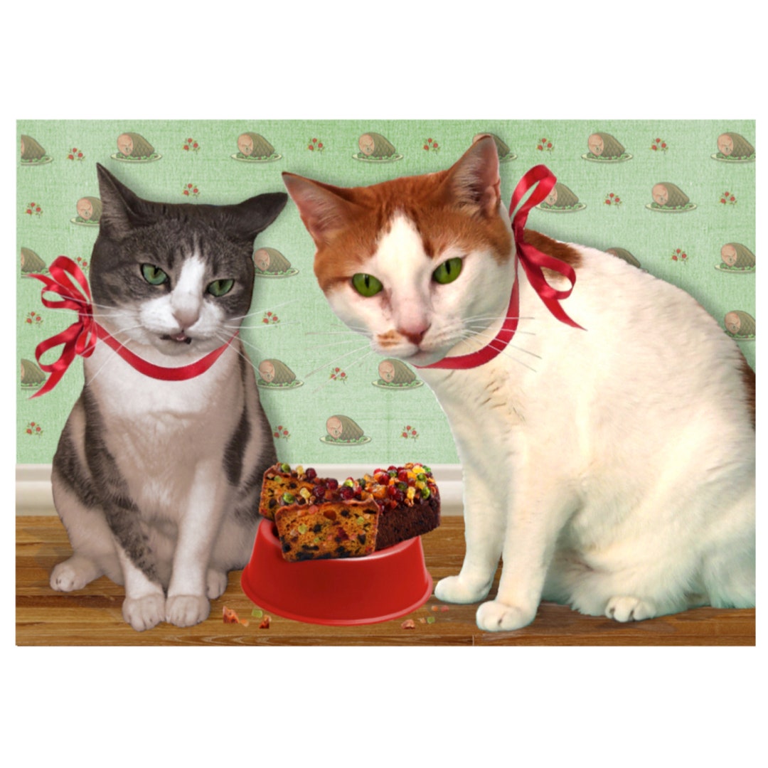 Christmas Cat Photo Card: BLECH! - Etsy